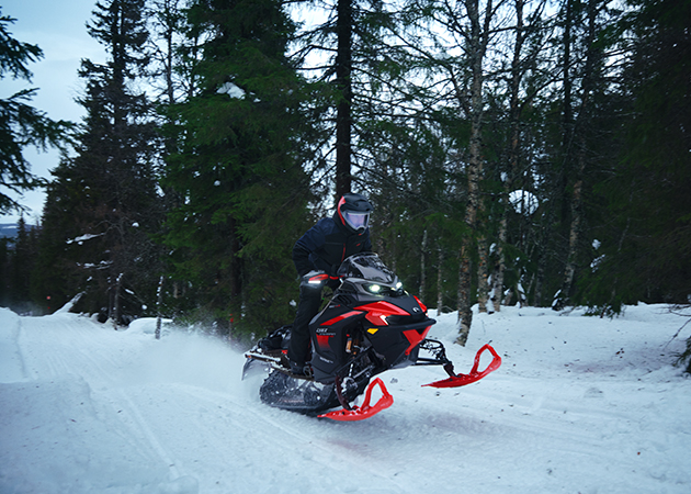 Discover the lynx lineup with Brothers Motorsports