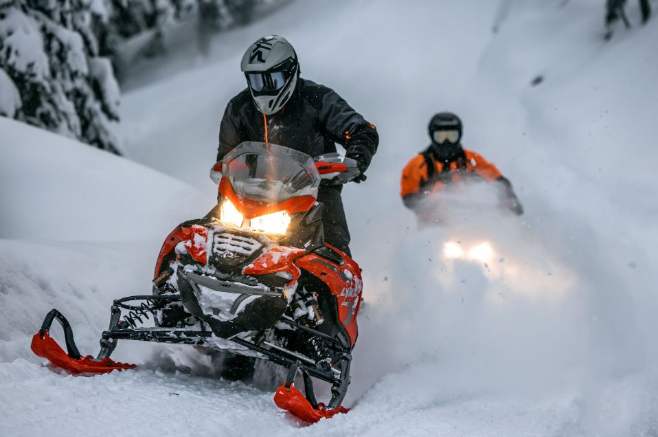 Discover the lynx lineup with Cernic's