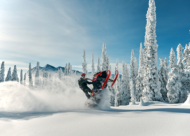 Lynx Snowmobile Dealership Indian River, MI: burtlakemarina