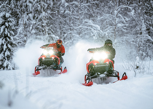 Discover the lynx lineup with Route 8